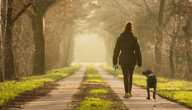Heel tips: Teaching A Dog To Heel In Simple Stages