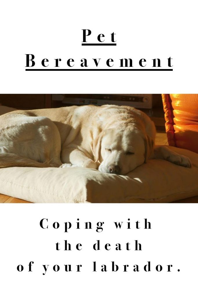 Pet Bereavement - Coping with the death of your Labrador