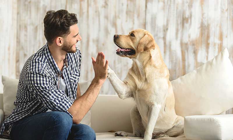 Cool Dog Names - 300 Awesome Puppy Name Ideas Cool Dog Names - 300 Awesome Puppy Name Ideas