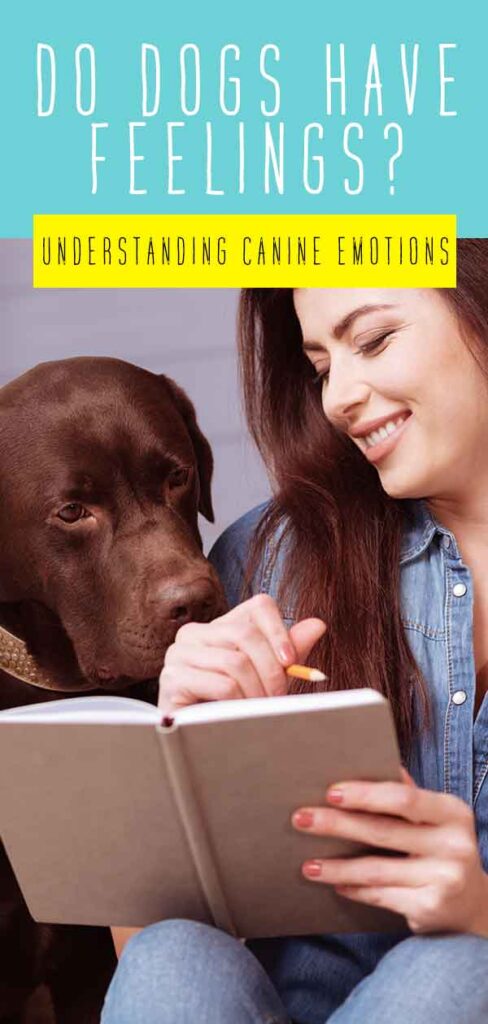 Do Dogs Have Feelings? Your Guide To Understanding Canine Emotions