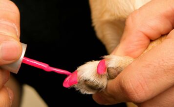 Reviews Of Labrador Products And Supplies