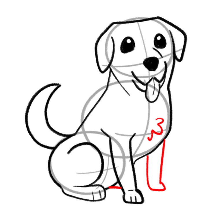 How To Draw A Labrador: Unleash Your Inner Artist