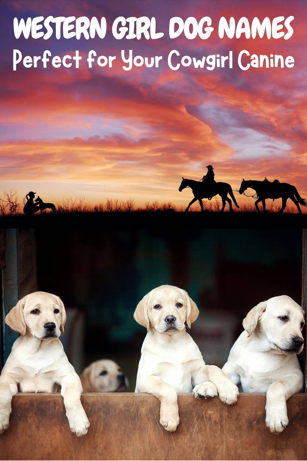 Female Dog Names - The Top Names For Gorgeous Girls