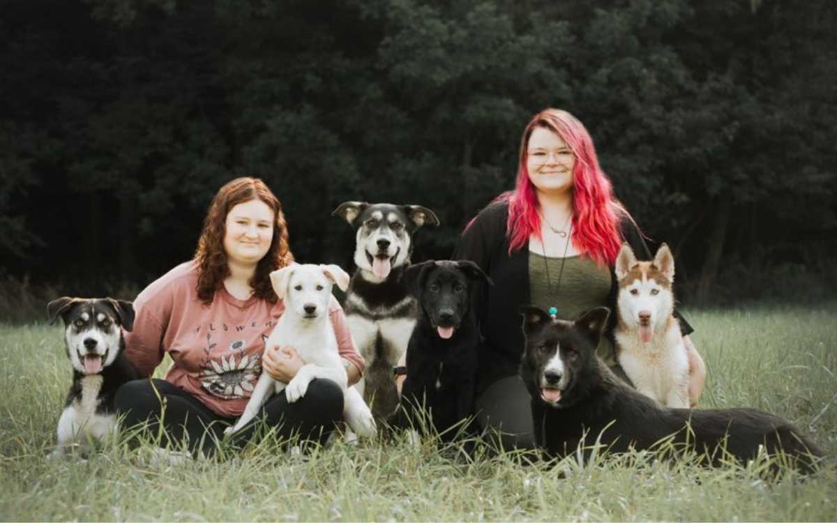 Meet 20 Husky Lab Mix Owners - Huskador Parenthood Uncovered