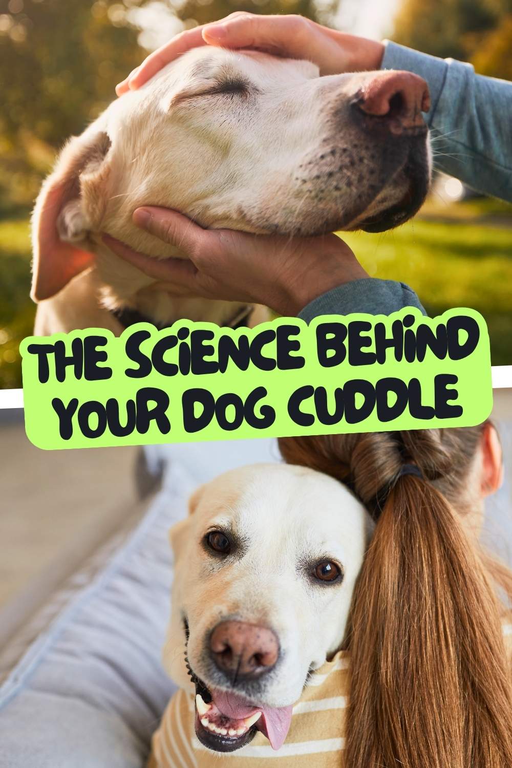 Do Dogs Like Hugs? The Truth About Canine Cuddles (And What Your Pup Is ...