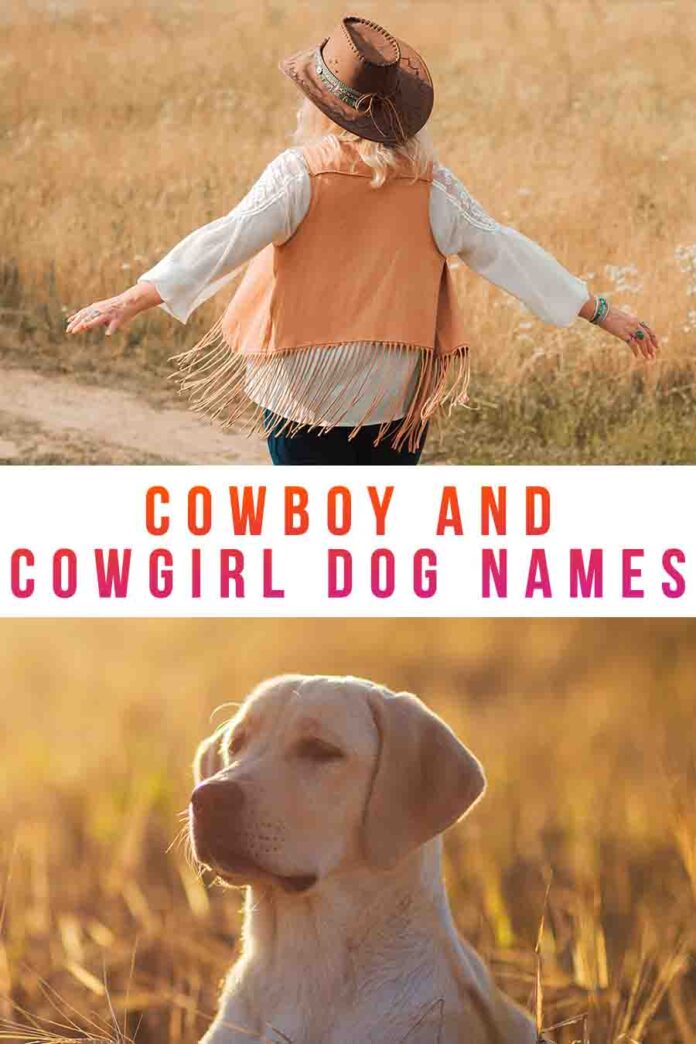 300 Country Dog Names That Will Suit Every Rural Dog